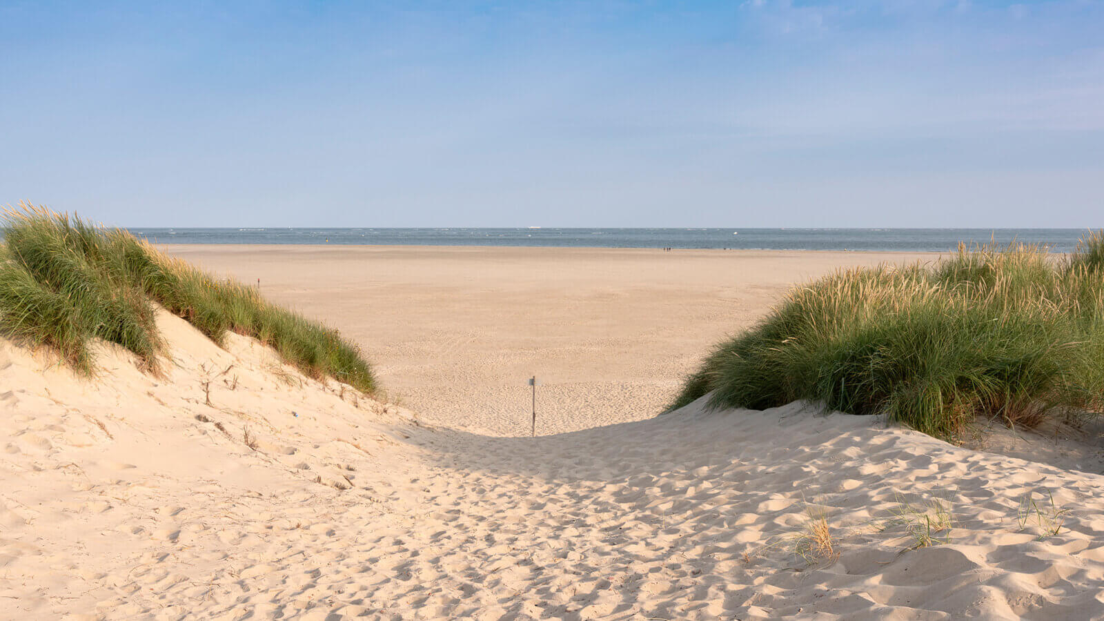 Het strand van Texel - TexelFans
